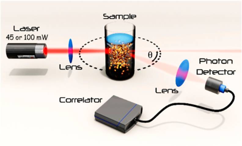 نتایج-dls-را-چگونه-تحلیل-کنیم؟